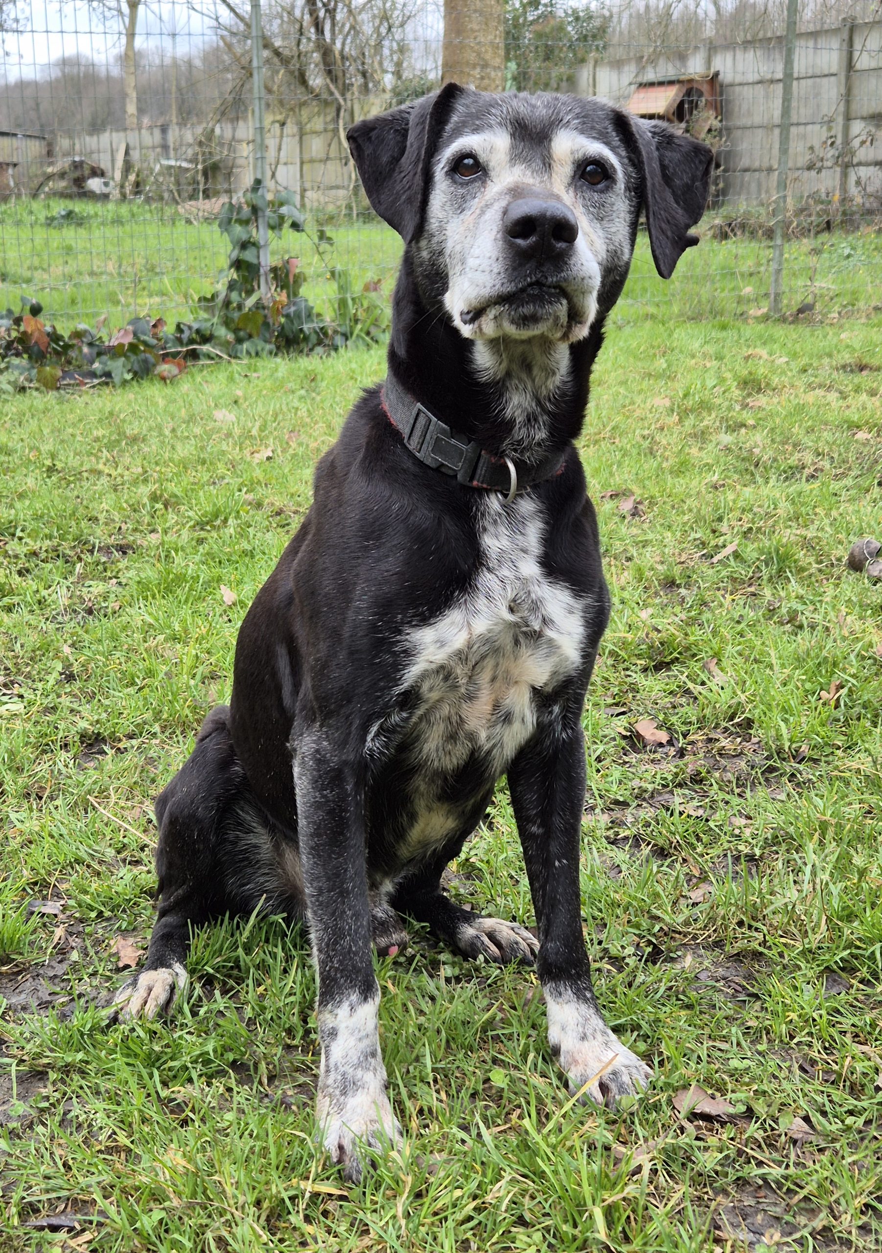 ENZO - Spa 65 - Azereix